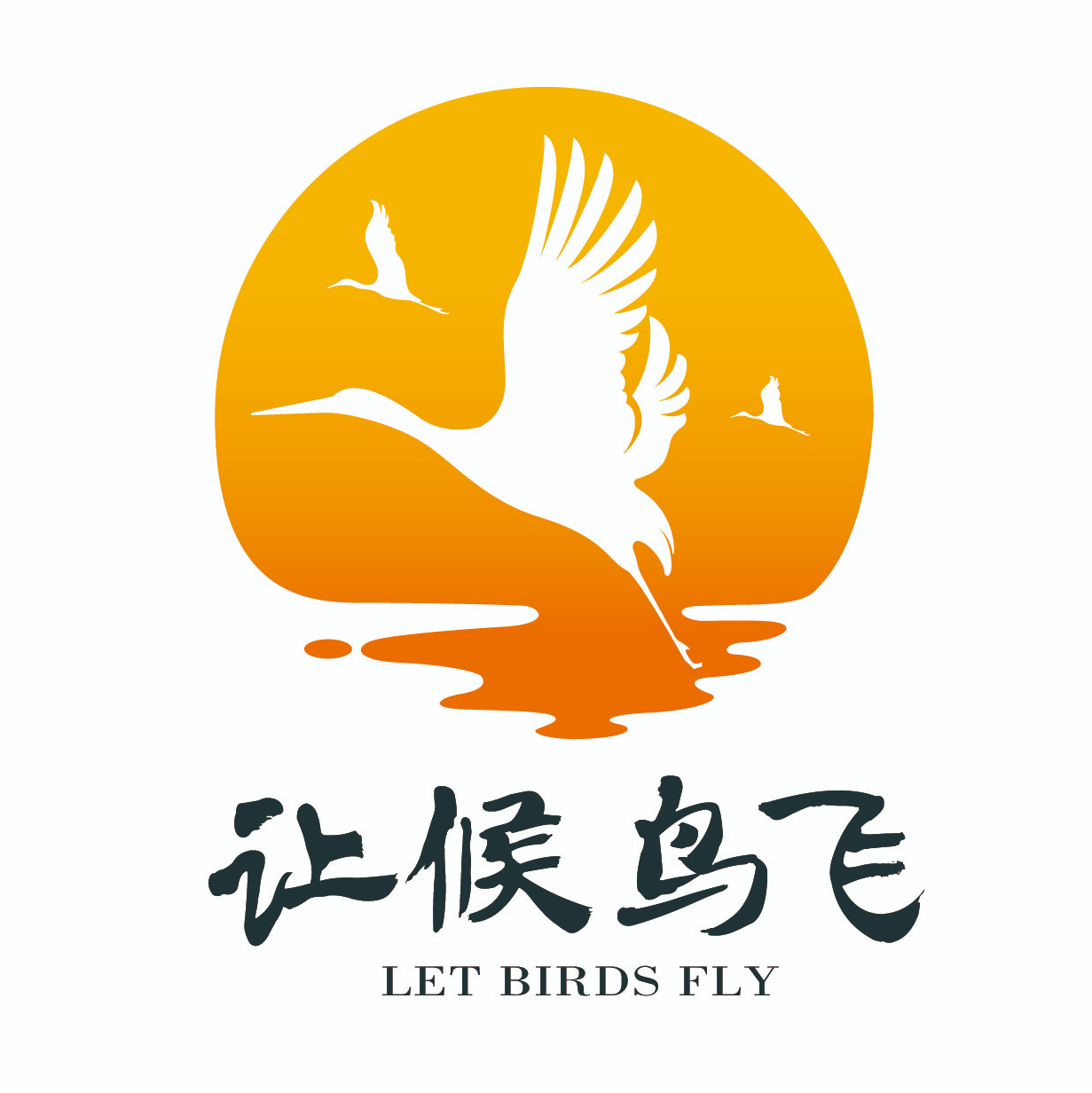 让候鸟飞LetBirdsFly 