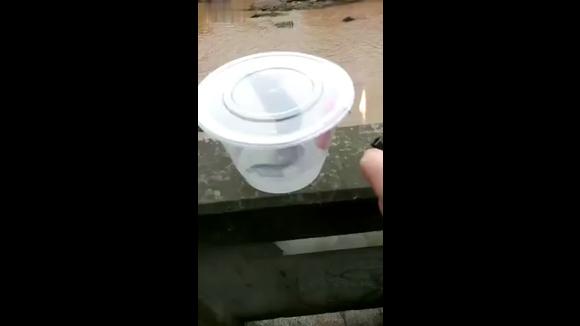 解压时候看看。好爽。老鼠360度