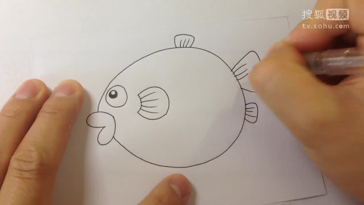 儿童简笔画.鱼的画法2