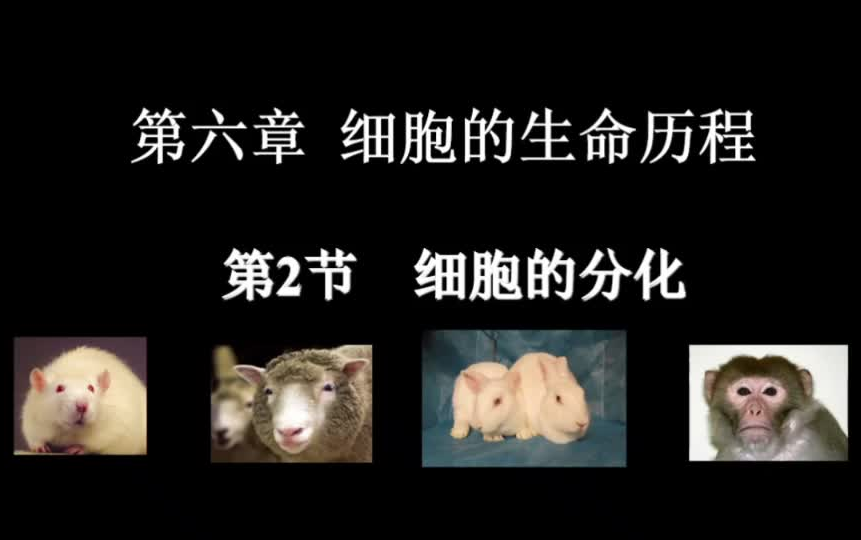 ...一轮复习 生物精讲】必修一第六章 细胞的生命历程 第二节 细胞的分化