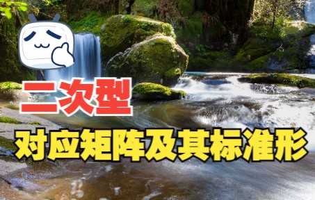 二次型矩阵及标准型