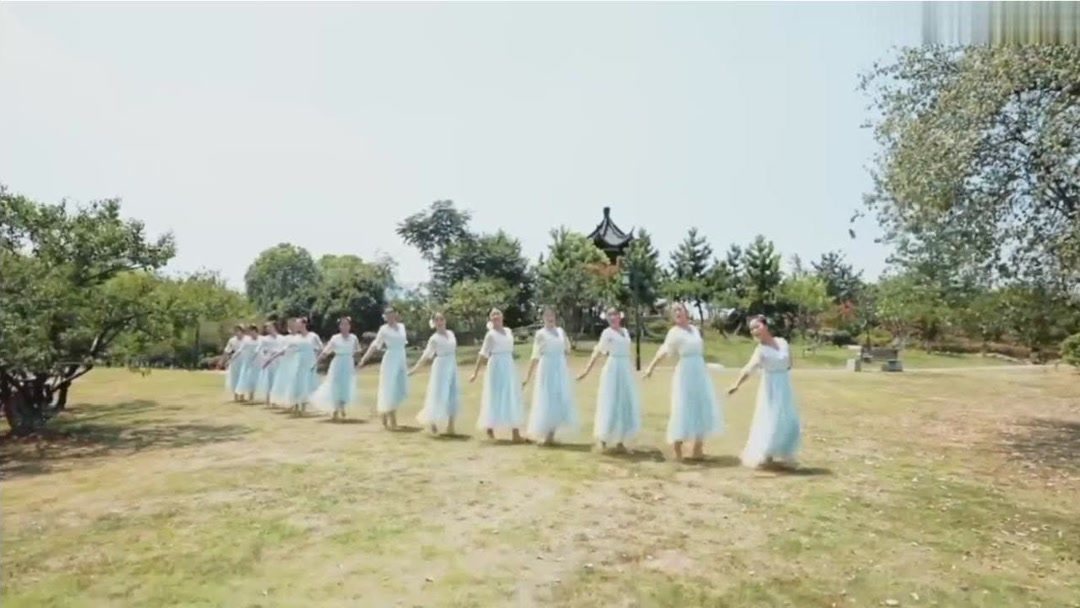 一天简单速成古风舞蹈教学视频欣赏,你学会了吗