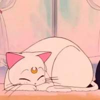 有一种魅力叫做时尚 