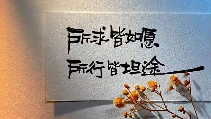 自主学习伴我成长