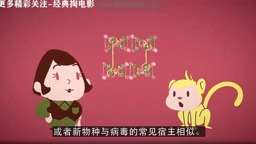 动画科普动物身上的病毒是如何传染到人类的