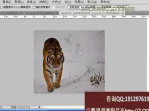 计算机电脑大学视频教程 计算机电脑爱好者培训教程