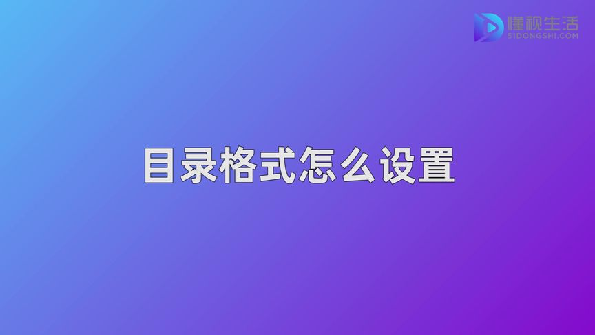 目录格式怎么设置