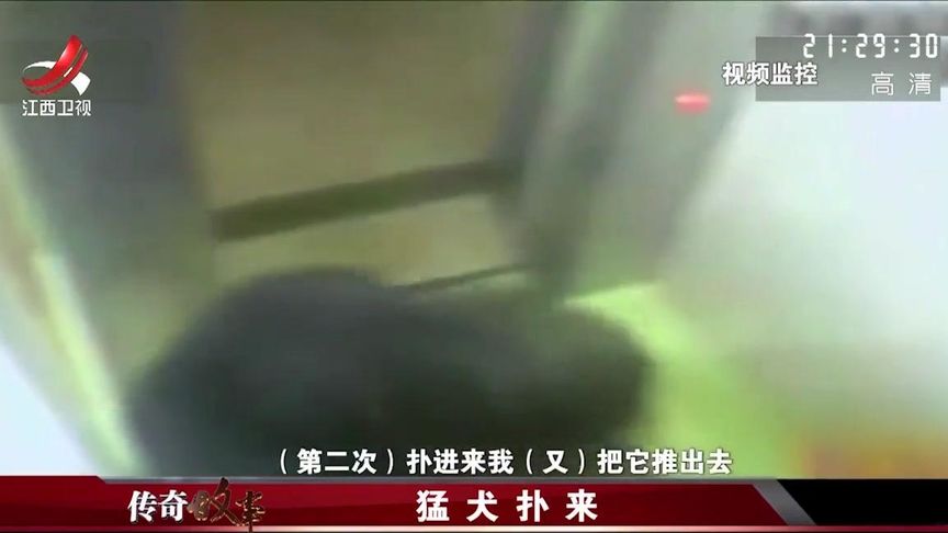 传奇:土豪后台硬,放狗堵电梯门咬人取乐,下秒警察上门牢底坐穿