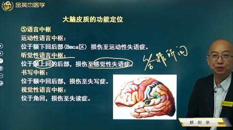 端脑02大脑皮质功能定位:运动、躯体感觉、视区、听区、语言中枢