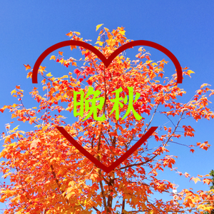 听闻远方有你666 