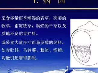 动物临床医学(乙)全24学时 高清视频 第02学时-浙江大学