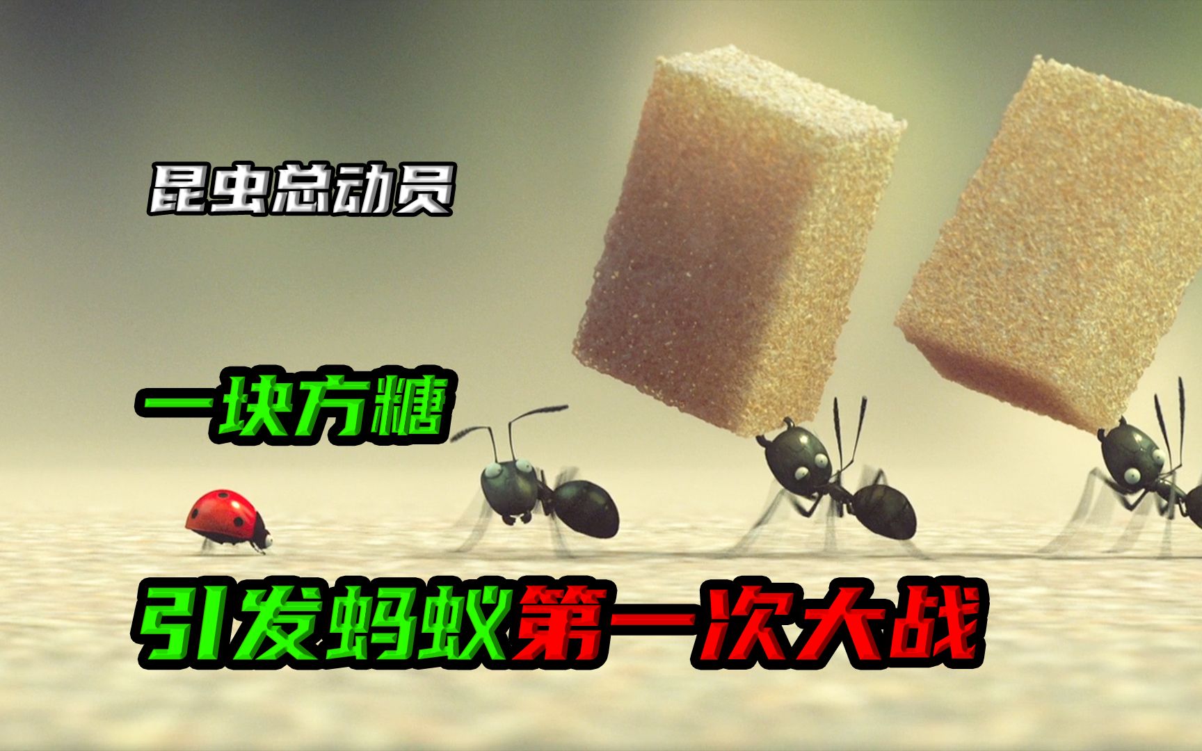 一块过期的糖块,引发了蚂蚁间的第一次世界大战