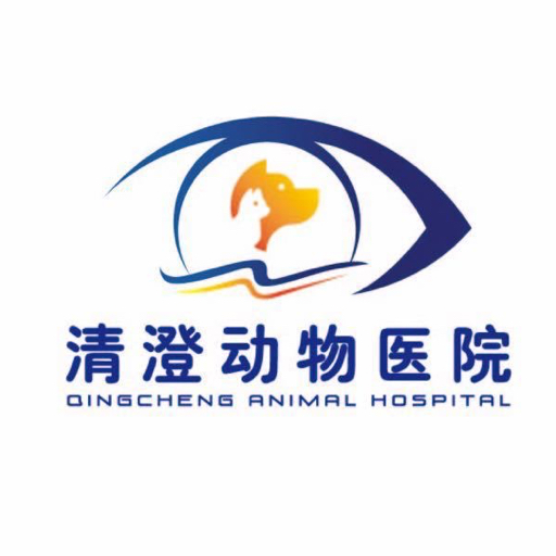 清澄动物眼科-大潘 