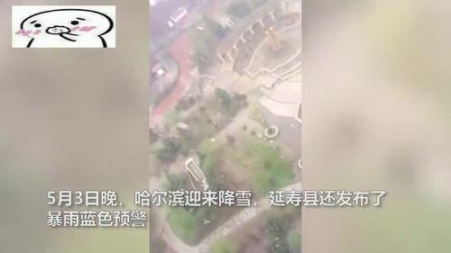 哈尔滨突降大雪一秒入冬,前天气温逼近30度,网友:这是冬夏之间跳跃啊!