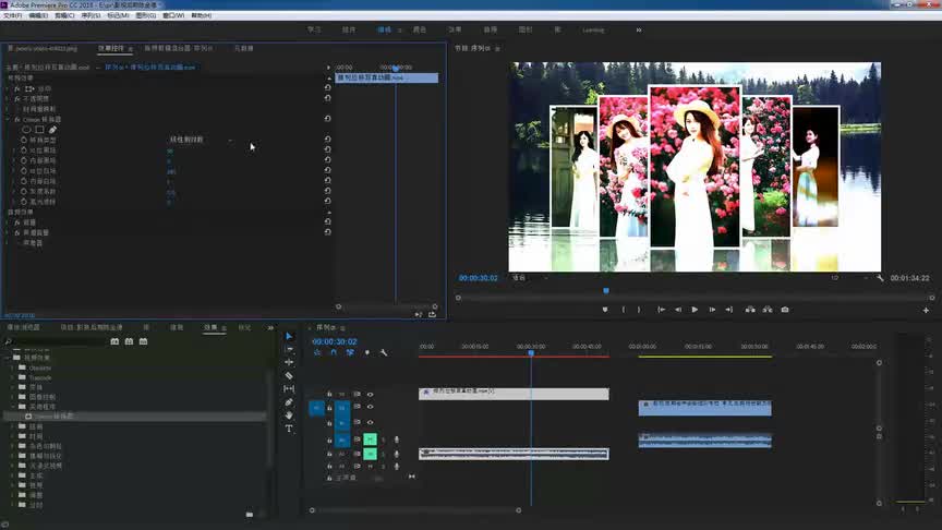 影视后期pr软件基础教程30 实用程序cineon转换器