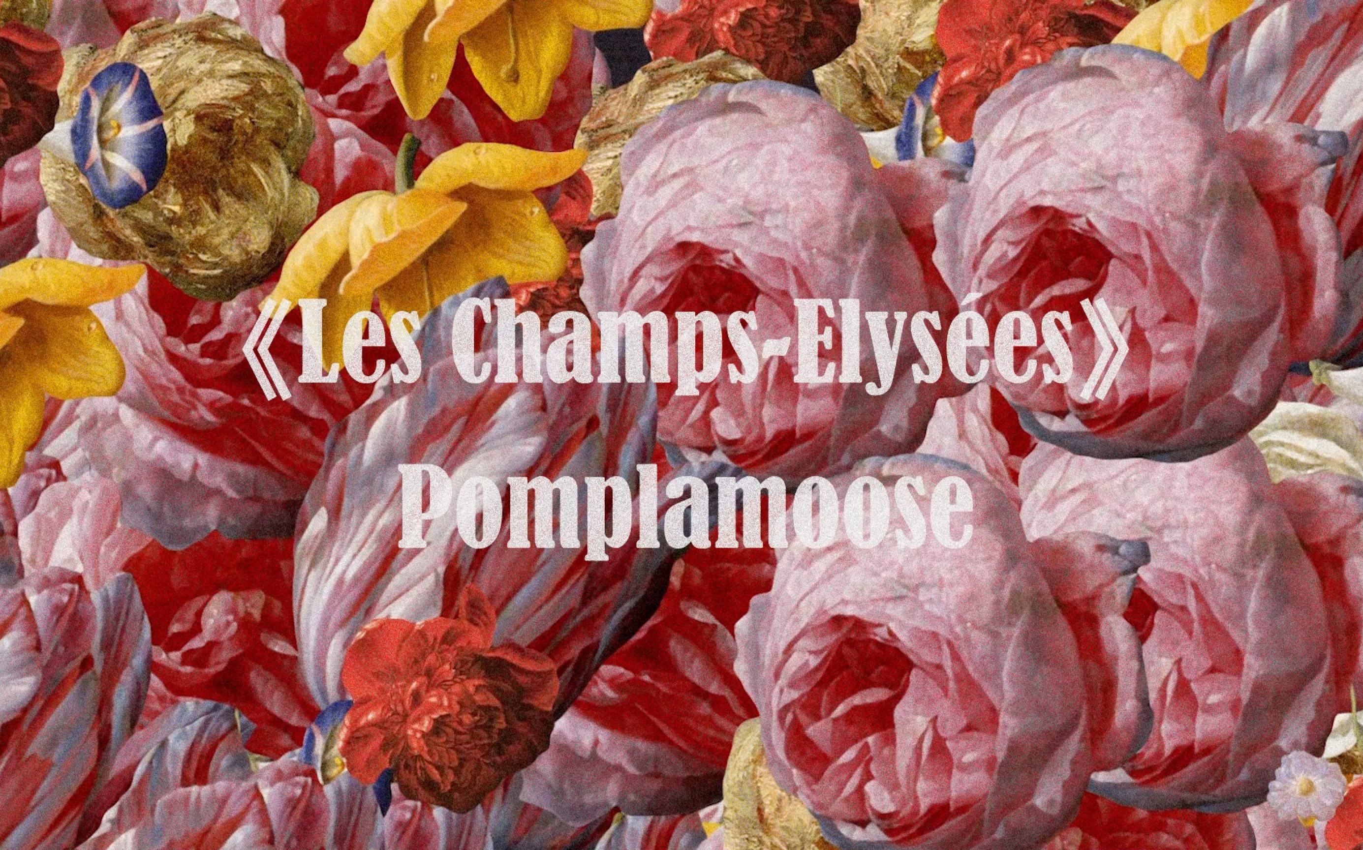 琥珀黎明 | Les Champs-Élysées |「拼贴风格动画」