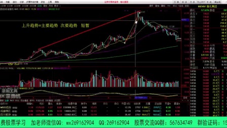 股票新手必学炒股秘籍 股票入门技术基础知识