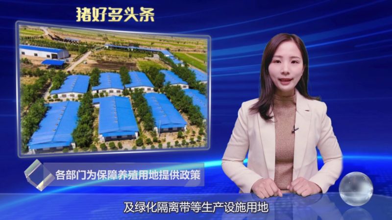2020年养猪新政策:生猪养殖用地、设施用地、环评都有政策支持!