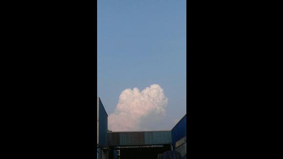 三伏天气,晒着日光浴,看着棉花糖,甜