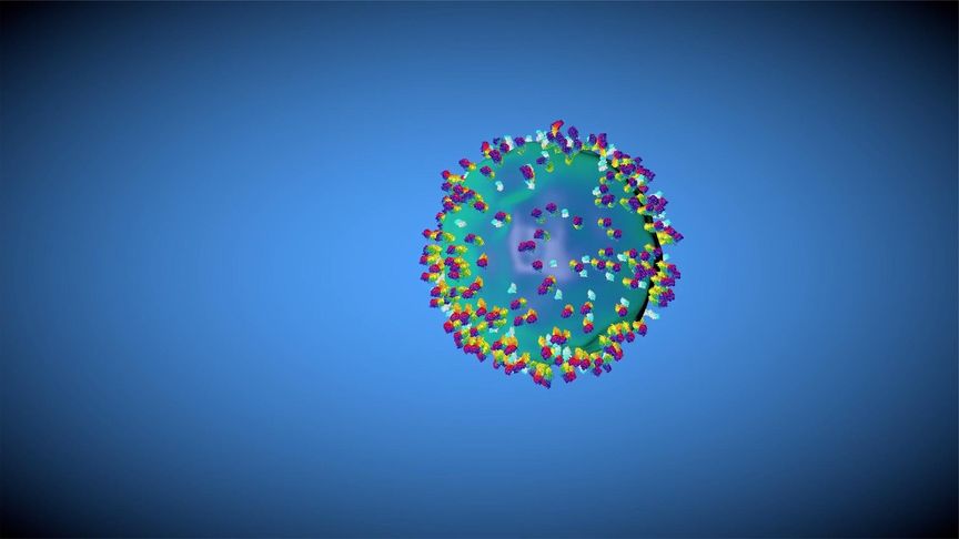 5分钟了解冠状病毒如何侵入人体细胞?