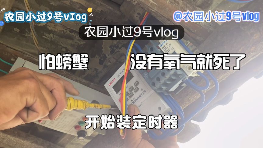 农园小伙亲戚家装定时器,亲戚怕螃蟹没氧气死了,决定装定时器