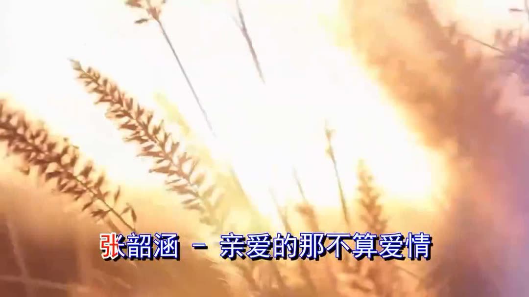 张韶涵唱一首《亲爱的那不是爱情》,经典动听