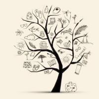 林林资讯小情报 