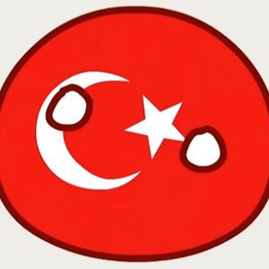 改革军丶西盟丶土耳其 