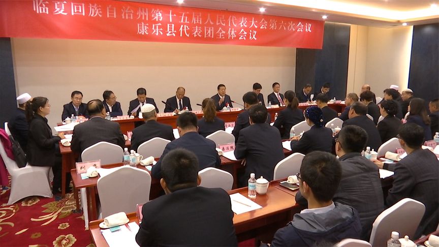 康乐县代表团认真审议州政府工作报告 审查“十四五”规划