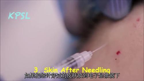 电子显微镜的工作原理,可观察的电子显微镜下的原子结构