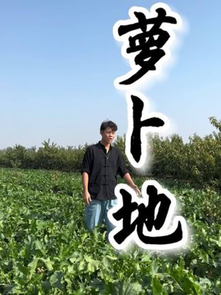 花钱包地种出来就能挣钱的时代过去了!#记录真实生活 #农业种植 #...