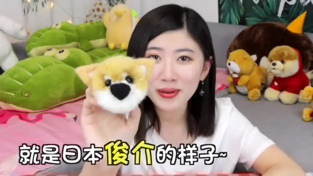 第一次做羊毛毡已入坑无法自拔…