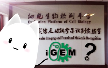 潜入中国药科大学最深处的实验室|2022 CPU_CHINA的一日实验室vlog...