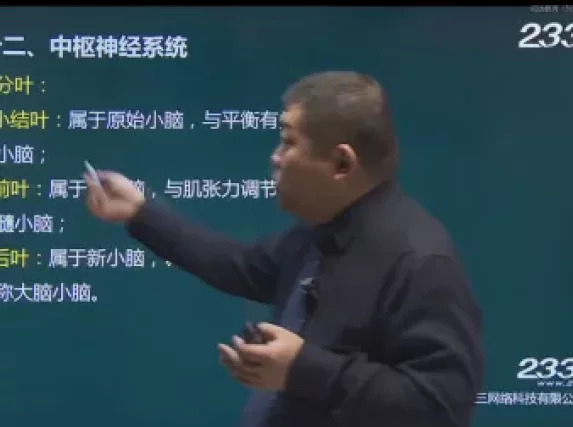 第九讲中枢神经系统一
