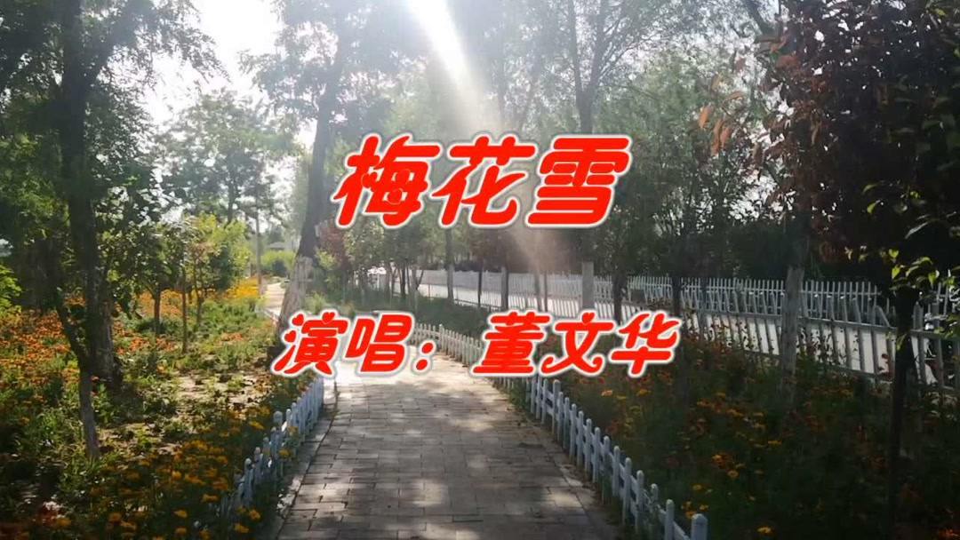 董文华一首《梅花雪》经典老歌,甜美的歌声,唤起无数人的回忆!