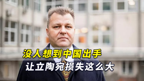 真想错了!立陶宛高官很委屈:没人想到中国出手让我们损失这么大