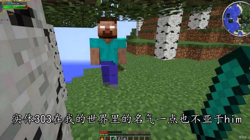我的世界:关于实体303的那点事,实体303到底是什么