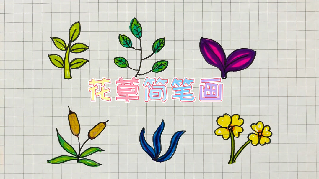花草简笔画:简单画彩色花草