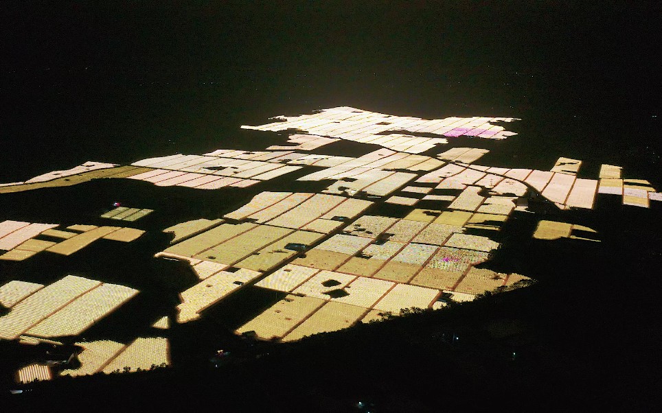 广西南宁几千亩火龙果灯光秀 只为那一夜的灿烂