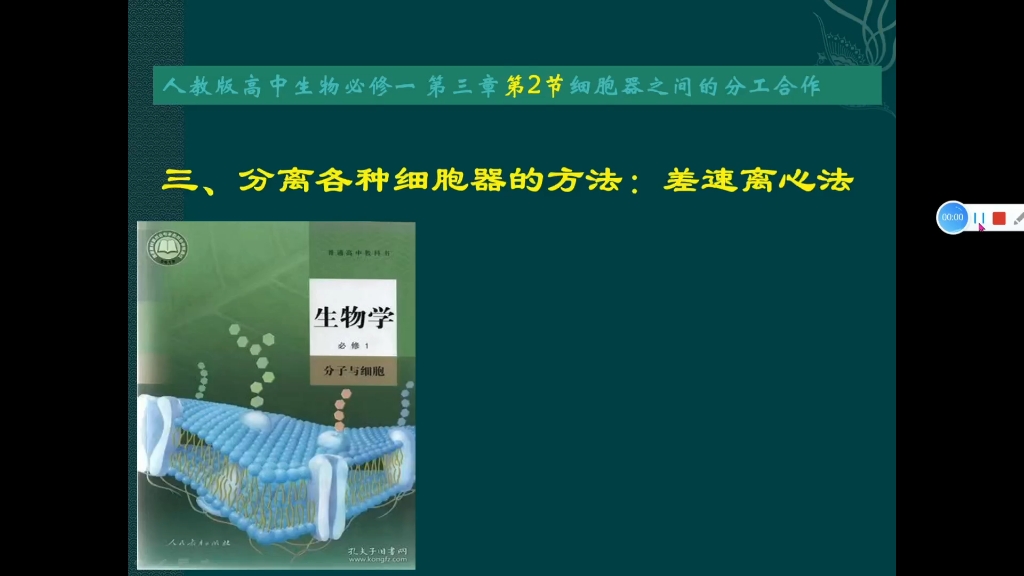 新教材 第二节 细胞器之间的分工合作 三、差速离心法