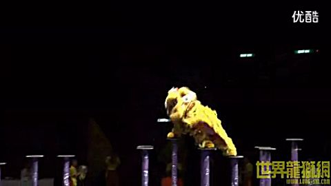 2014年,香港世界夜光龙醒狮锦标赛—中联黄飞鸿龙狮团_高清