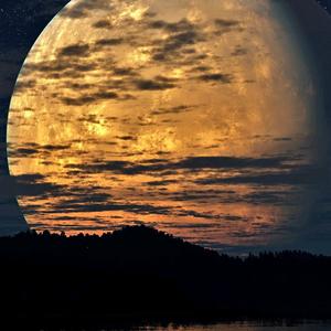 如来神掌之独孤九剑 