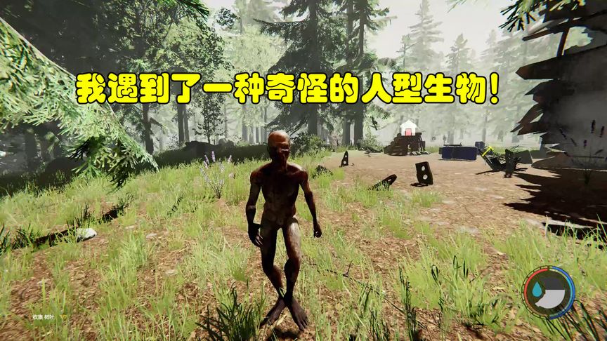 森林1:我是东穆,我在原始森林中遇到一种人型生物,他们很危险