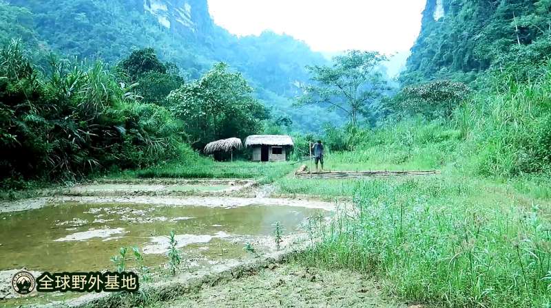 世外桃源第24集:禾苗茁壮成长中,两垄水田可能不够,再开一垄!