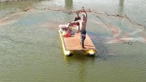 农村小伙这撒网技术是祖传的,动作太优美了,好想拜他为师啊