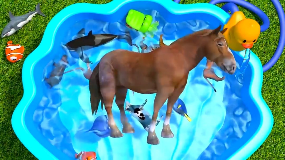 少儿卡通动画 介绍小狗,狮子和奶牛 海豚 熊猫 益智