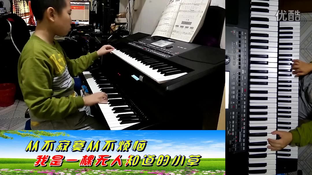 电子琴演奏 小草