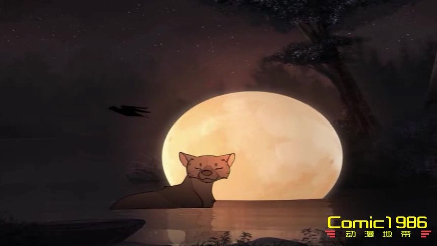 3分半唯美动画:每一帧都是那么的赏心悦目,美到窒息!