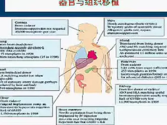 器官与组织移植
