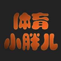 体育小胖儿 